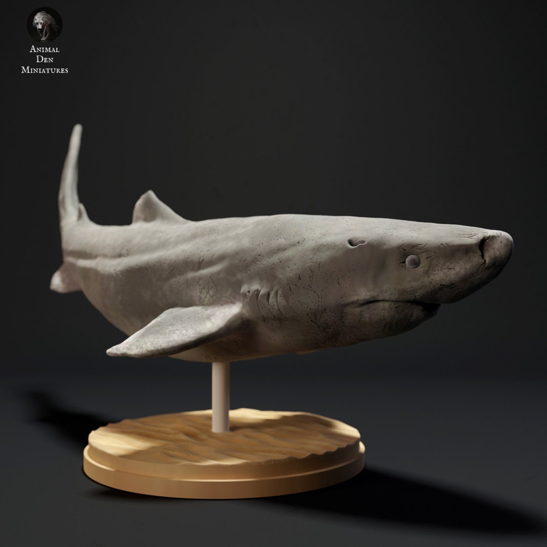 Greenland Shark 3D Printed Miniature Designed by Animal Den Sculpture ...