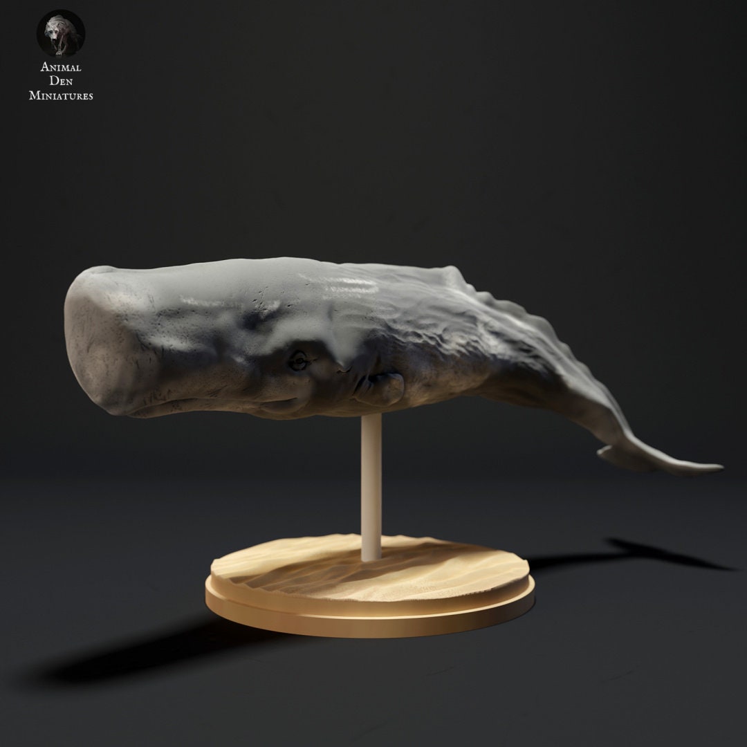 Sperm Whale - 3D Printed Miniature - Designed by Animal Den - Sculpture ...