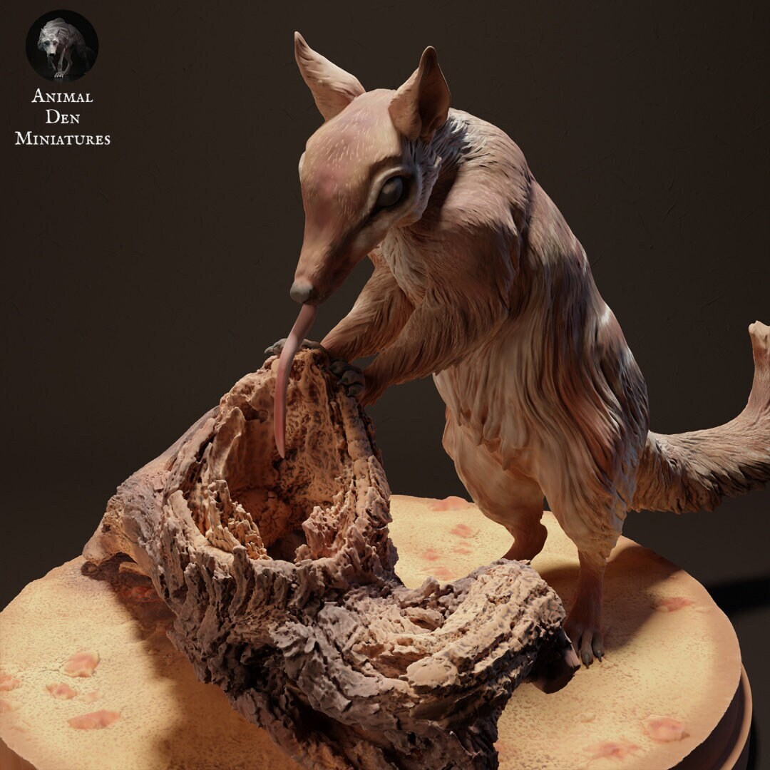 Numbat Banded Anteater 2 Poses 3D Printed Miniature Designed by Animal ...