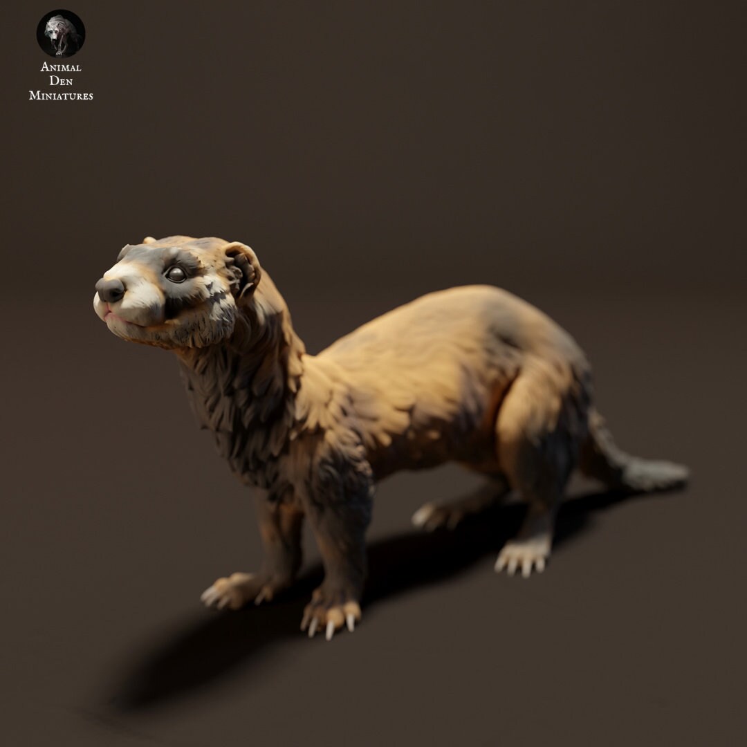 European Polecat Ferret 3 Poses 3D Printed Designed by - Etsy