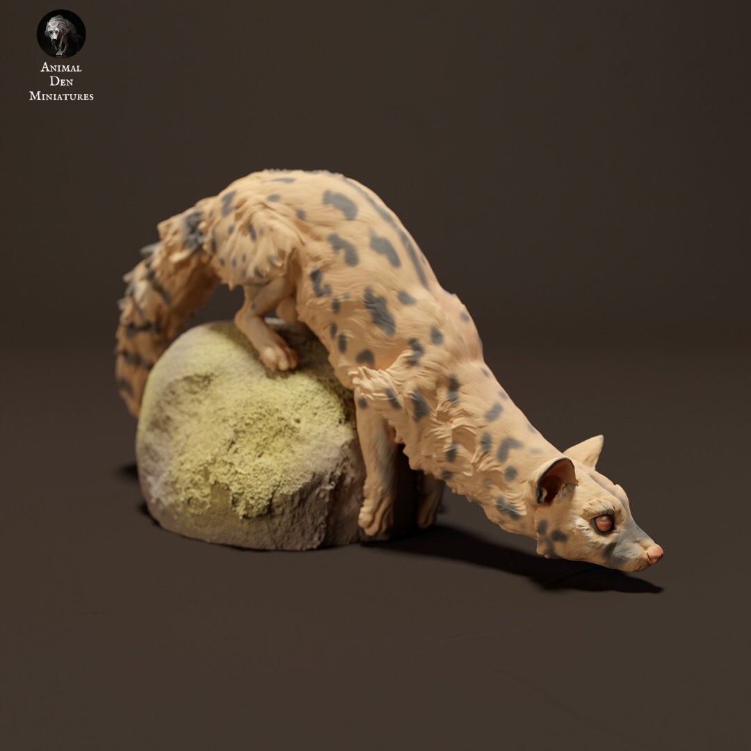 Common Genet 3 Poses 3D Printed Designed by Animal Den Miniatures ...