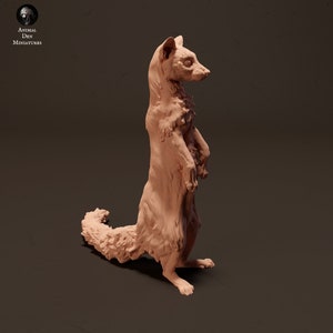 Common Genet 3 Poses 3D Printed Designed by Animal Den Miniatures ...