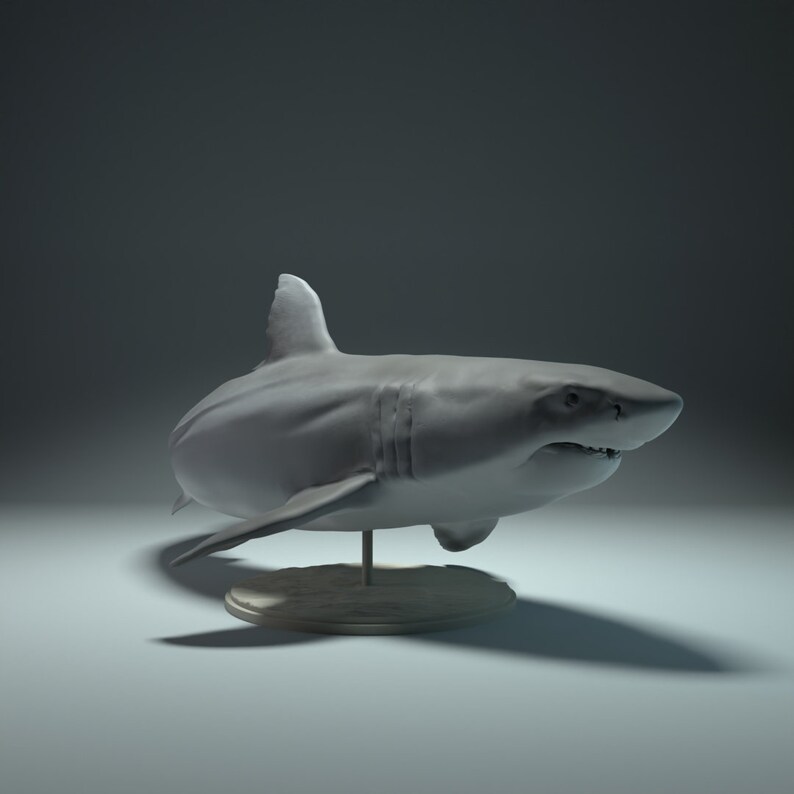 Great White Shark Swimming 3D Printed Miniature - Etsy