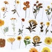 25 Pcs Pressed Yellow Flowers Clear Sticker, Floral PVC Sticker ...