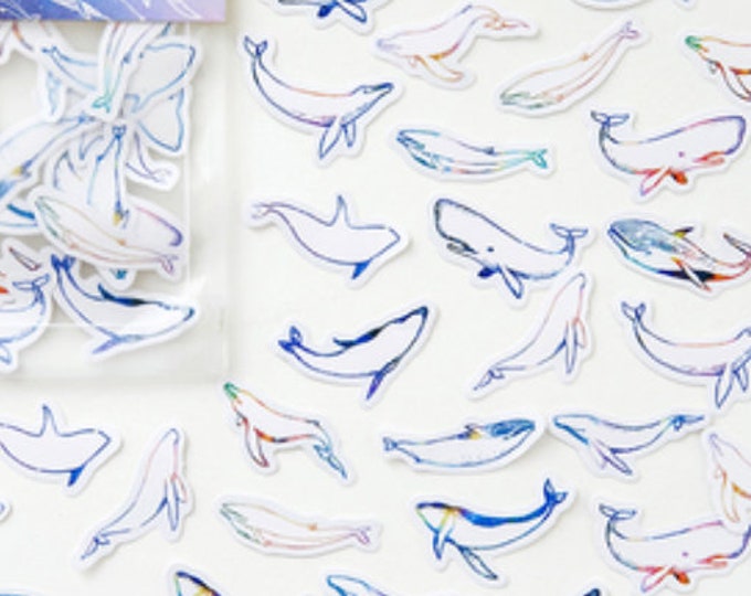 45 Pcs Whales Clear Sticker, Rainbow Whales PVC Sticker Flakes, Filofax ...