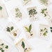 45 Pcs Plants Sticker Pack Botanicals Stamp Sticker Herbs - Etsy