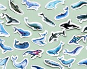 45 Pcs Whale Sticker Whales Sticker Flakes Under the Sea | Etsy