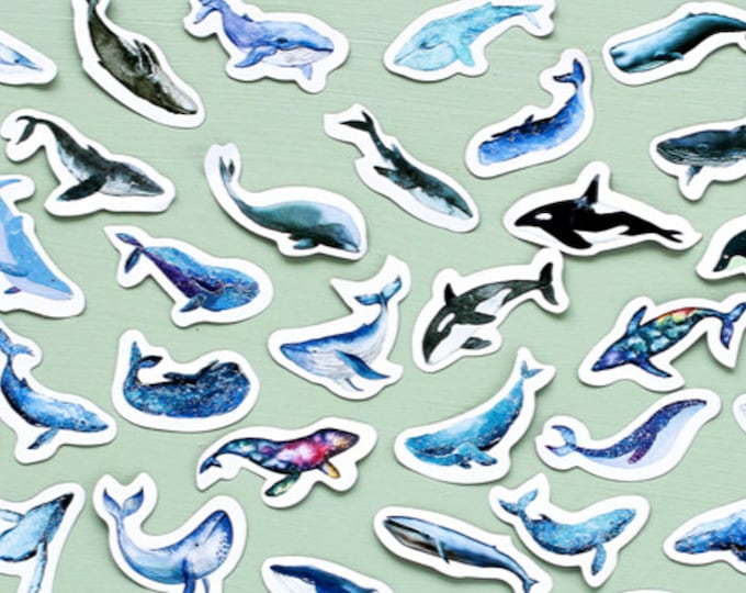45 Pcs Whale Sticker Whales Sticker Under the Sea Filofax - Etsy