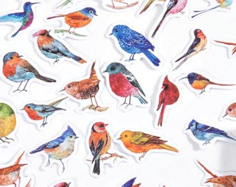 Bird Sticker Pack | Etsy