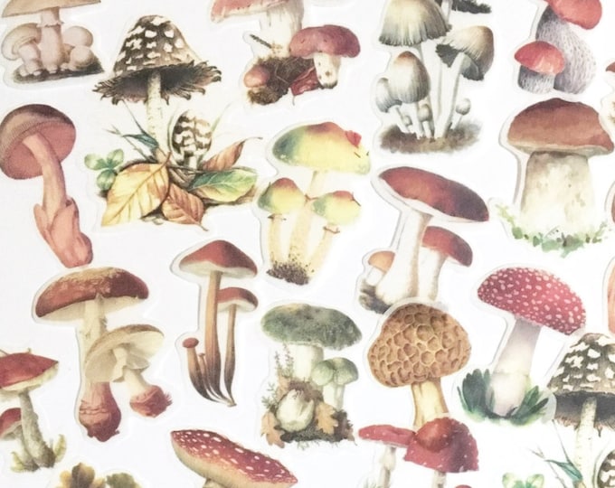 60 Pcs Mushroom Washi Sticker Fungi Sticker Junk Journal - Etsy