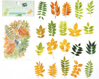 40 Pcs Leaves Clear Sticker Ferns Journal Junk Journal - Etsy