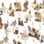 3D DIY Scene Sticker, Bakery Stickers, Bread, Journal Kit, Scrapbooking ...