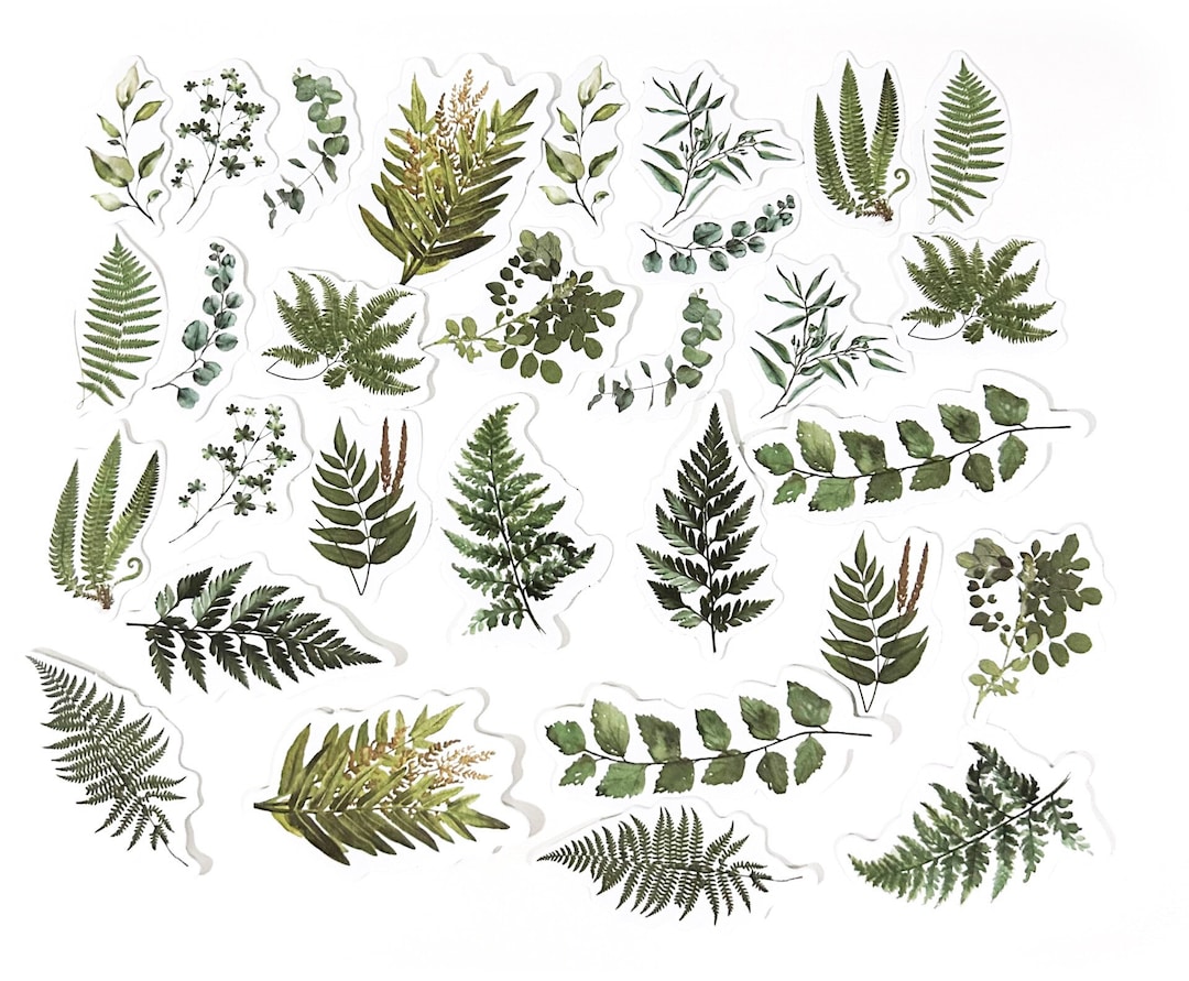30 Pcs Plant Sticker, Junk Journal Kit, Scrap Book, Journal, Ephemera ...
