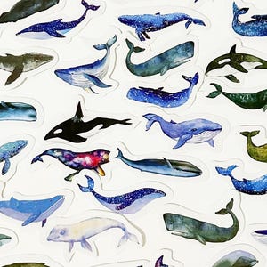 45 Pcs Whale Sticker, Whales Sticker, Under the Sea Filofax Stickers ...