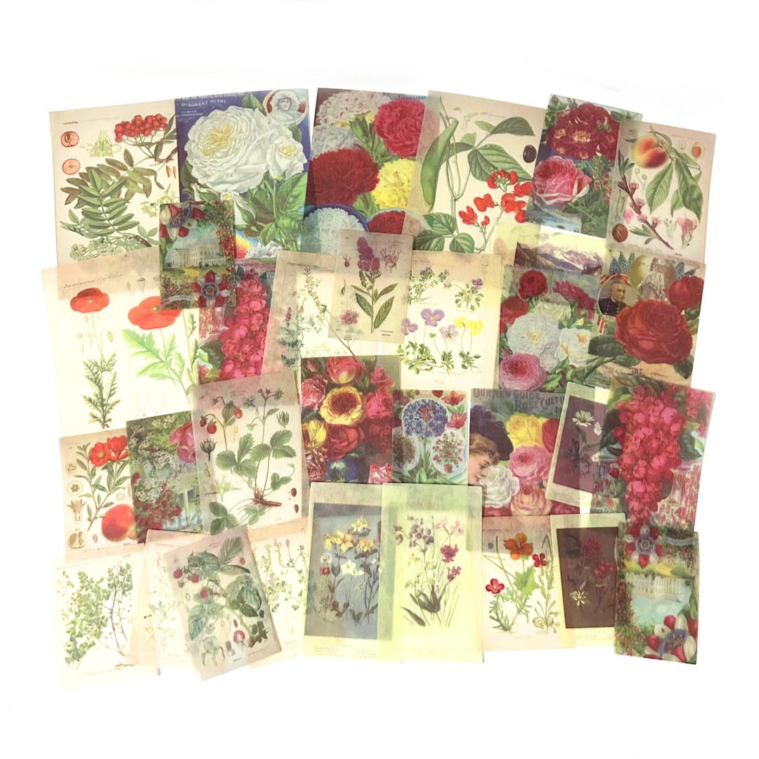 60 Pcs Retro Flowers Large Washi Sticker, Leaves Sticker, Junk Journal ...