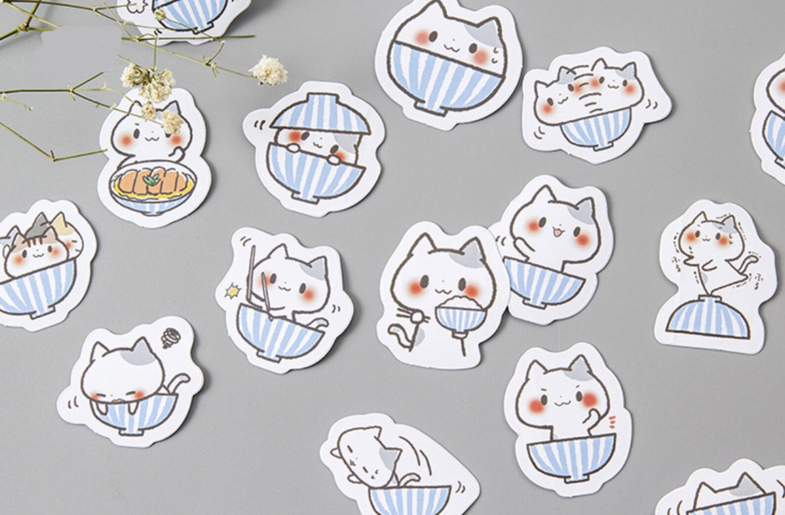 45 Pcs Cat in a Bowl Sticker Cats Kitten Sticker Flakes Pet - Etsy