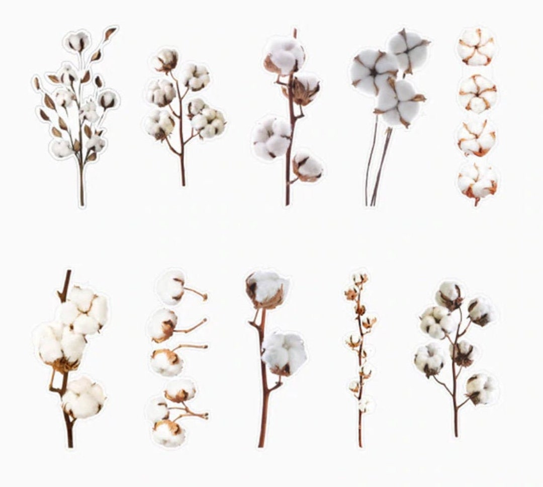 20 Pcs Cotton Plant Large Clear Sticker Pack, Forest, Scrapbook, Junk ...