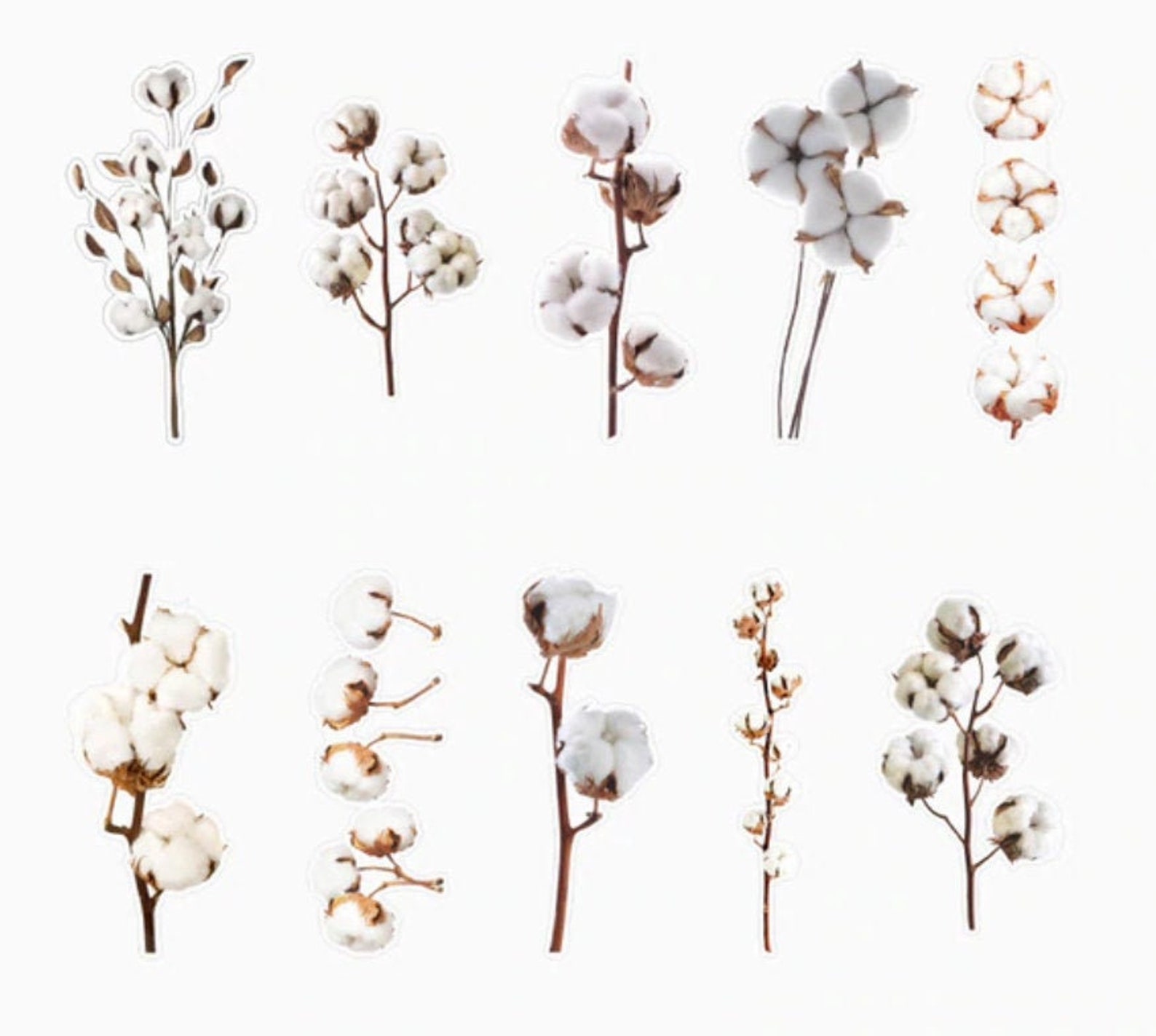 20 Pcs Cotton Plant Large Clear Sticker Pack Forest - Etsy