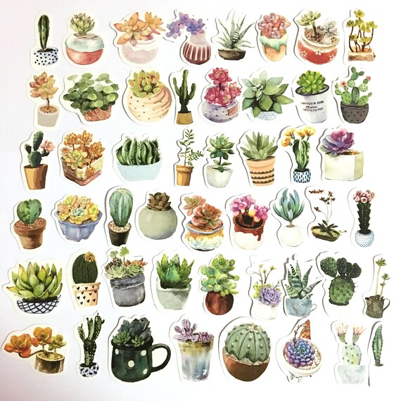 50 Pcs Cactus Sticker Pack Potted Cacti Sticker Set Plants | Etsy
