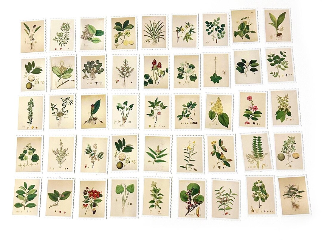 45 Pcs Plants Sticker Pack, Botanicals Stamp Sticker, Herbs, Scrapbook ...