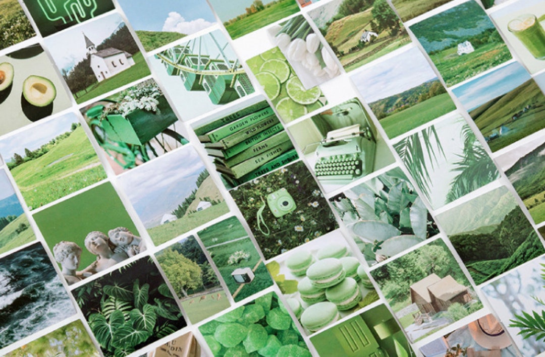 45 Pcs Green Aesthetic Sticker, Plants Sticker Pack, Scrapbook, Junk ...