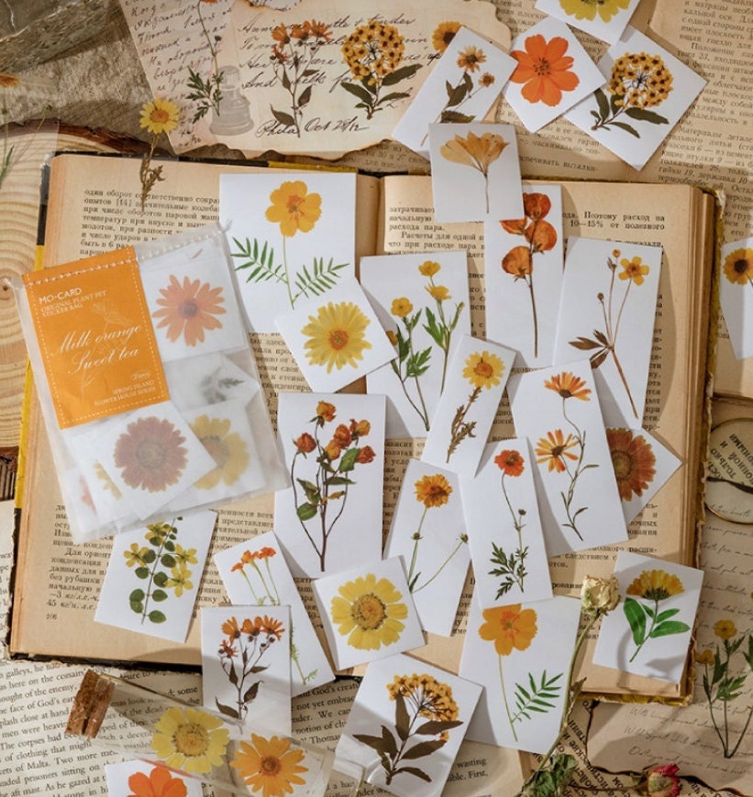 25 Pcs Pressed Yellow Flowers Clear Sticker, Floral PVC Sticker ...
