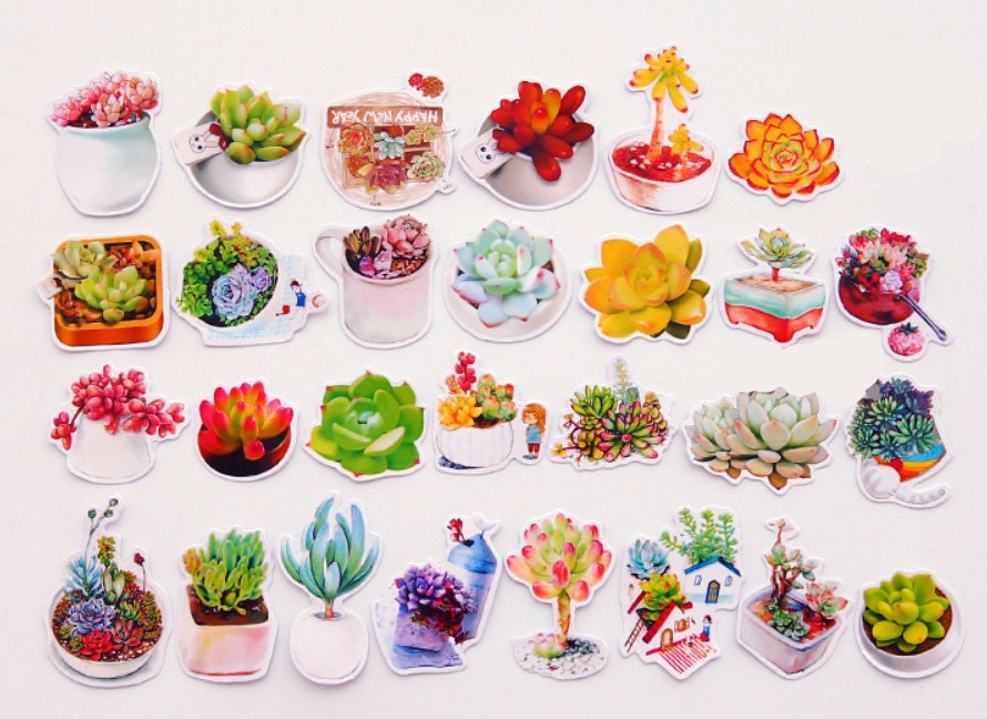 26 Pcs Succulents Sticker Pack Succulent Sticker Plants | Etsy
