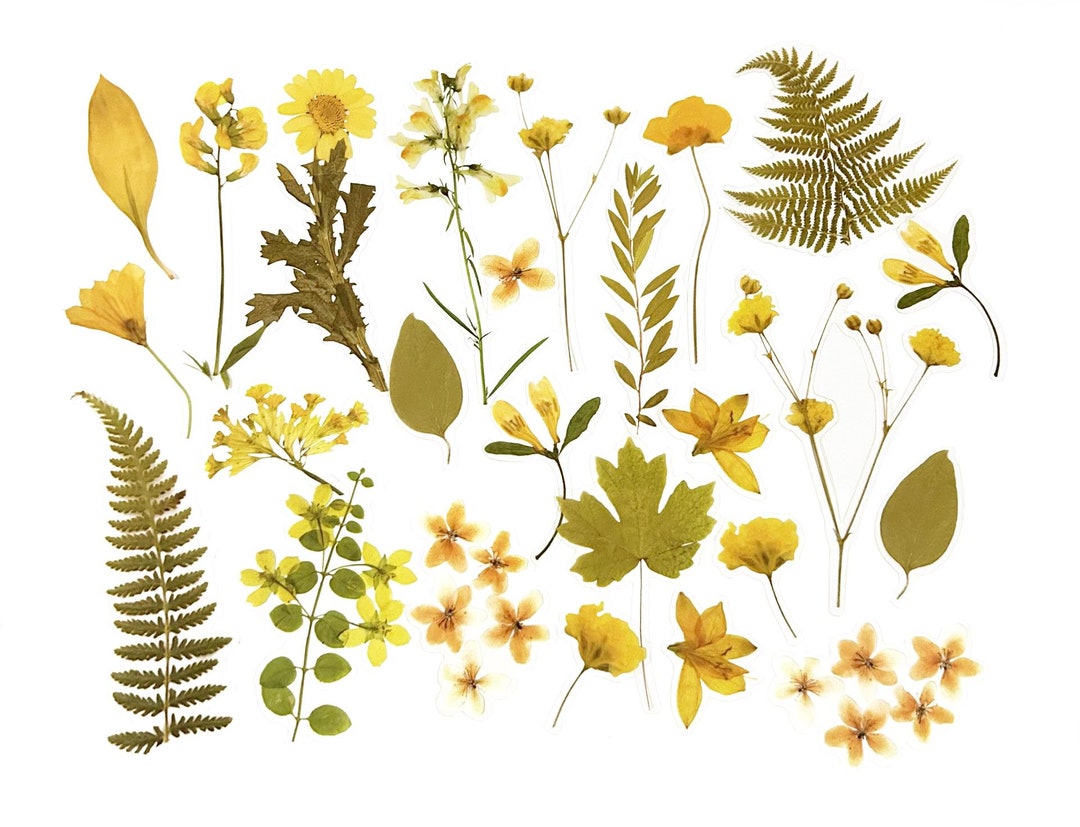 40 Pcs Yellow Flowers Clear Sticker, Floral Clear Sticker, Journal ...