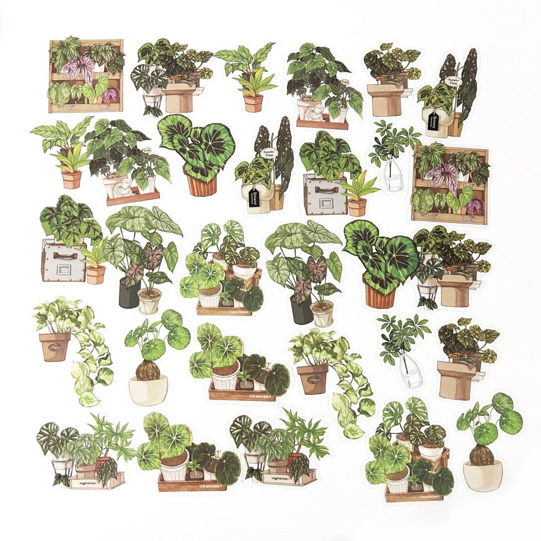 30 Pcs Potted Plants Clear Sticker Green Leaves Clear Sticker - Etsy