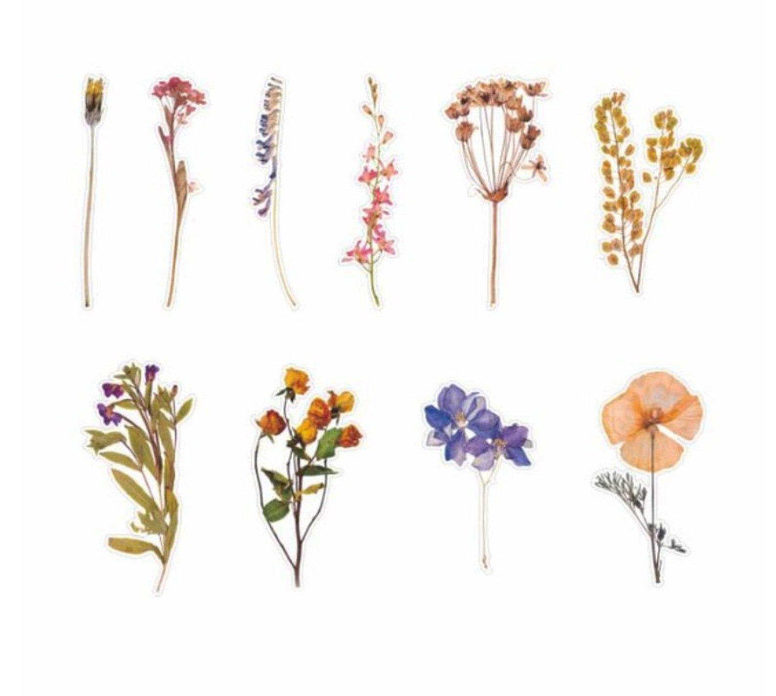 20 Pcs Flowers Large Clear Sticker, Botanicals, Scrapbook, Junk Journal ...