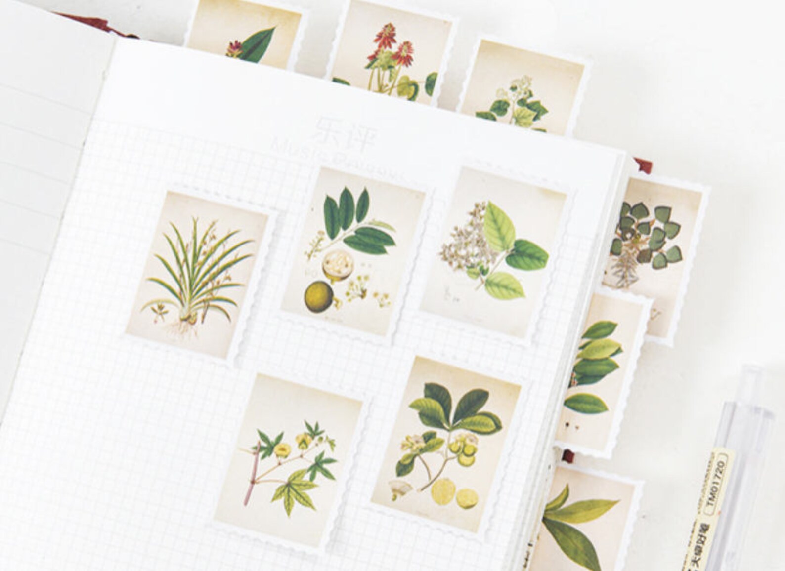 45 Pcs Plants Sticker Pack Botanicals Stamp Sticker Herbs | Etsy