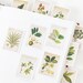 45 Pcs Plants Sticker Pack Botanicals Stamp Sticker Herbs - Etsy
