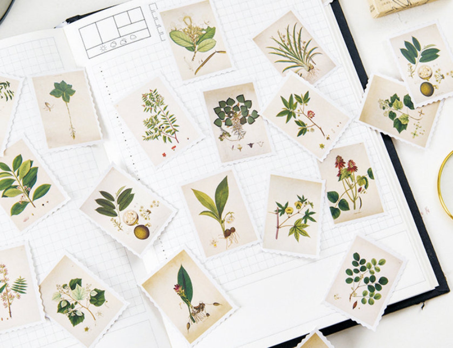 45 Pcs Plants Sticker Pack Botanicals Stamp Sticker Herbs | Etsy