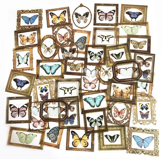 40 Pcs Ornamental Frame Clear Sticker Butterfly Clear | Etsy