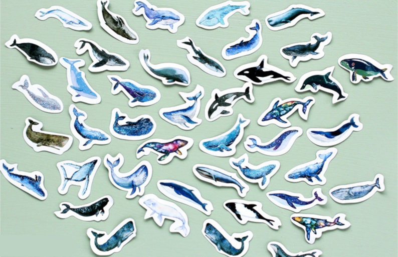 45 Pcs Whale Sticker Whales Sticker Under the Sea Filofax - Etsy