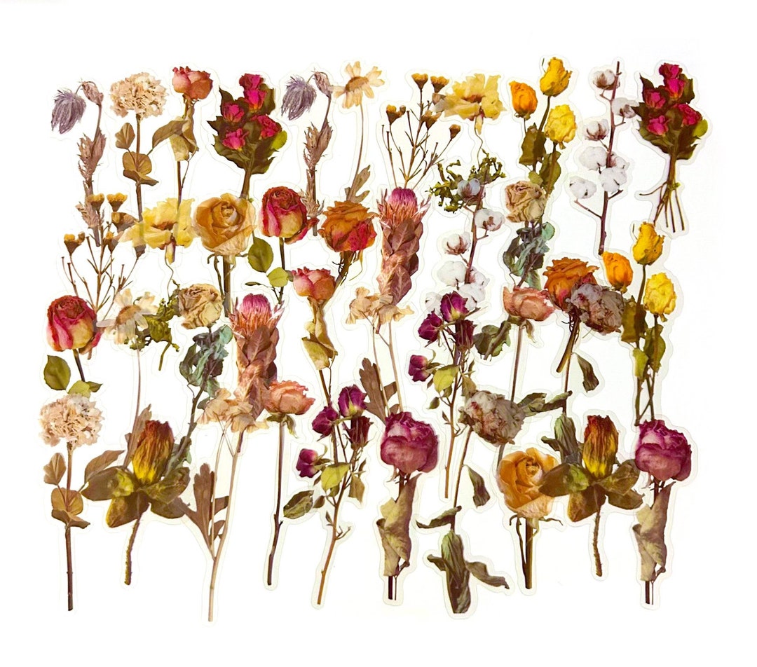 40 Pcs Dried Flowers Clear Sticker, Floral, Scrapbook Stickers, Junk ...