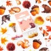 45 Pcs Autumn Planner Sticker, Fall Sticker Flakes, Forest Sticker ...
