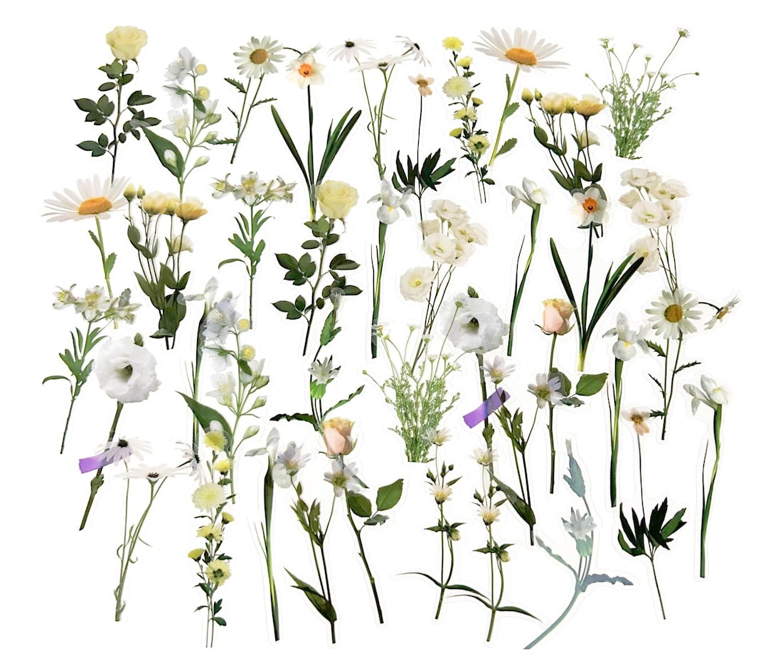 40 Pcs White Flowers Clear Sticker, Floral Clear Sticker, Journal ...