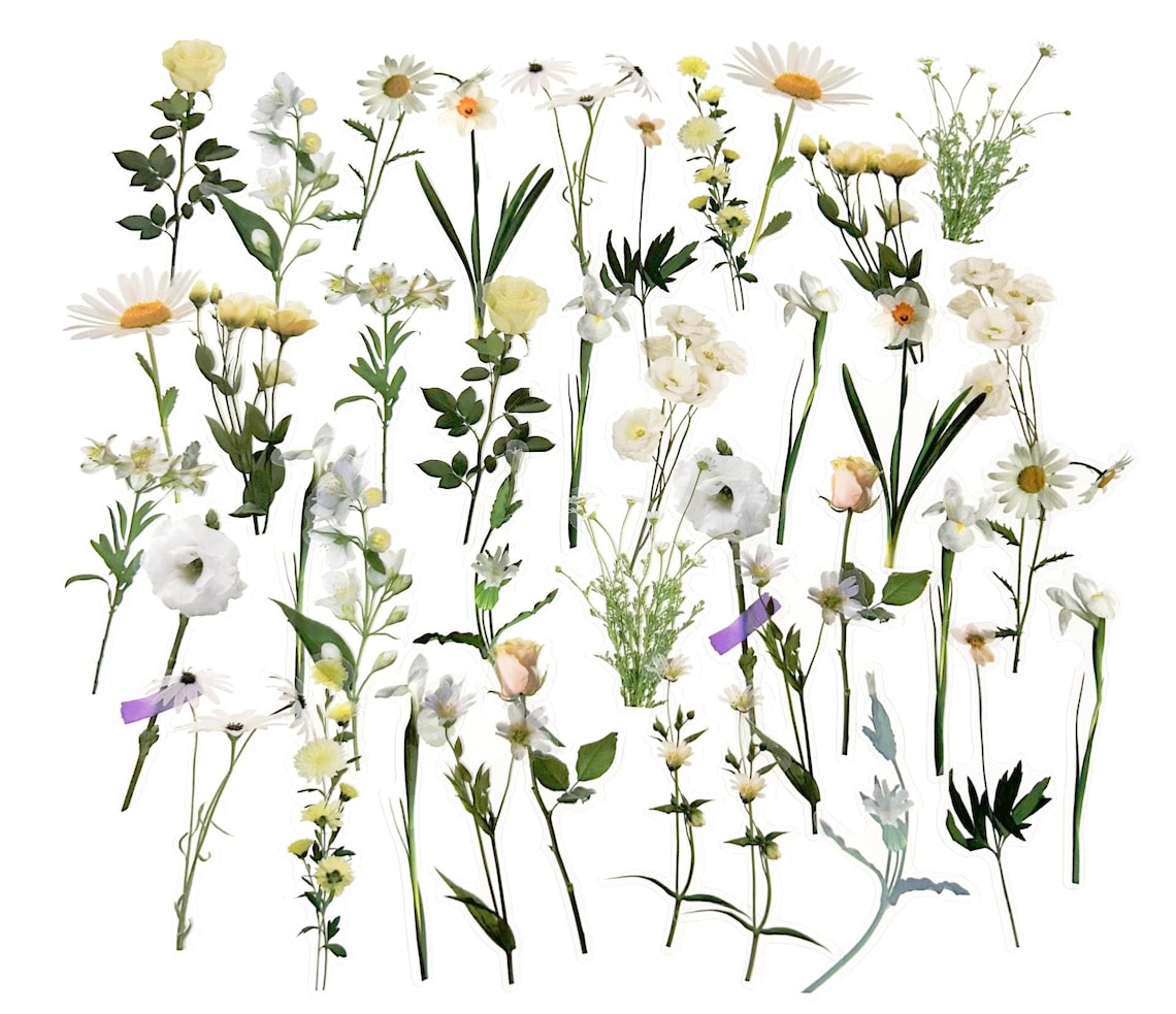 40 Pcs White Flowers Clear Sticker, Floral Clear Sticker, Journal ...