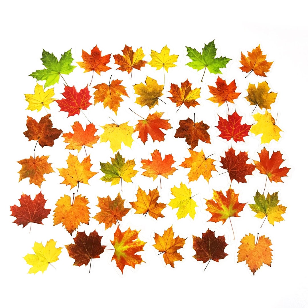 40 Pcs Maple Leaf Clear Sticker, Journal, Junk Journal Kit, Resin, Leaf ...
