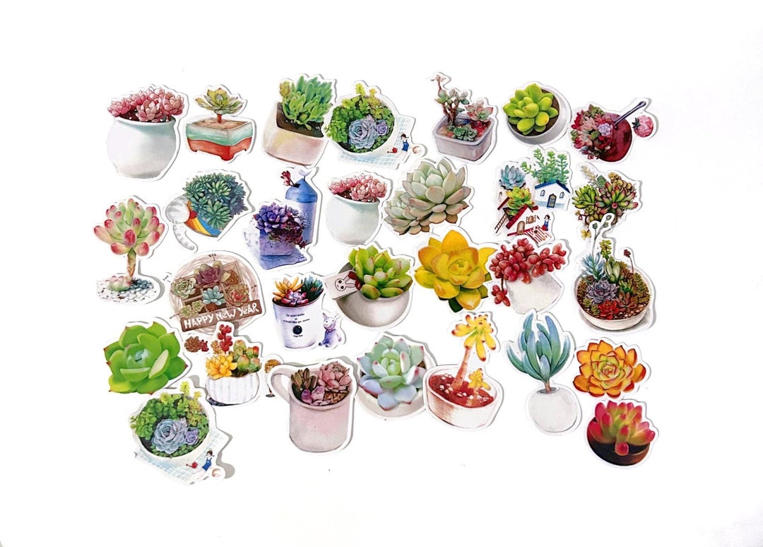 26 Pcs Succulents Sticker Pack, Succulent Sticker, Plants, Gardening ...
