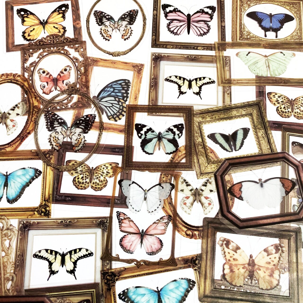 40 Pcs Ornamental Frame Clear Sticker Butterfly Clear - Etsy