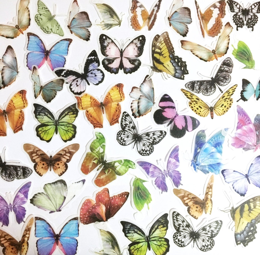 60 Pcs Butterfly Large Washi Sticker Set, Butterflies, Insect Kingdom ...