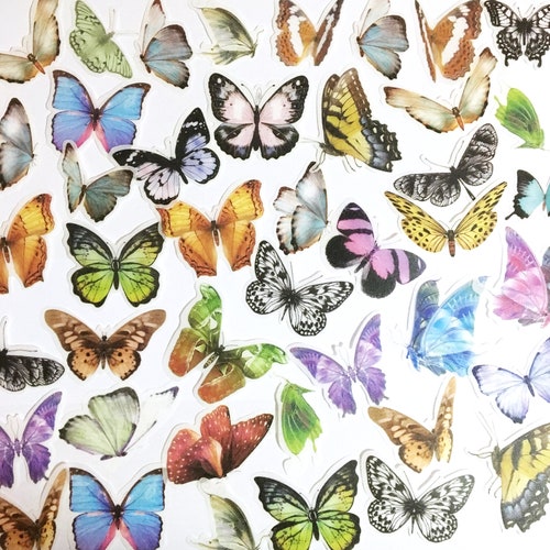 60 Pcs Butterfly Large Washi Sticker Set Butterflies Insect - Etsy
