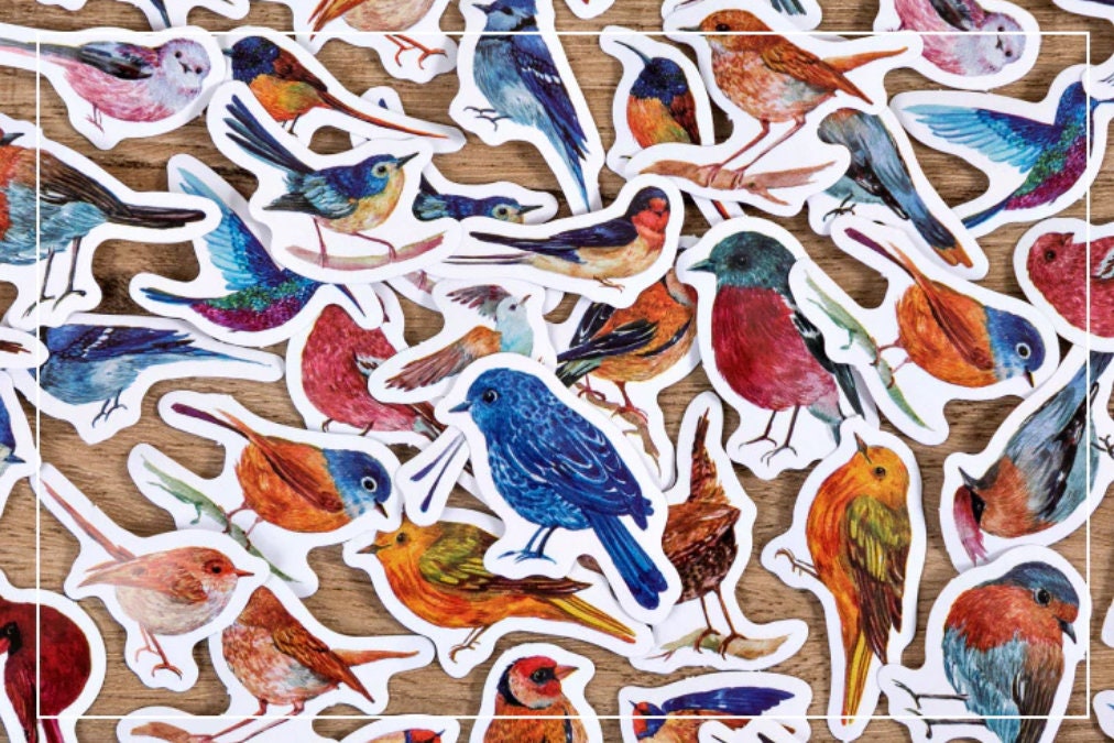 45 Pcs Birds Sticker Pack Bird Sticker Birds in Flight - Etsy