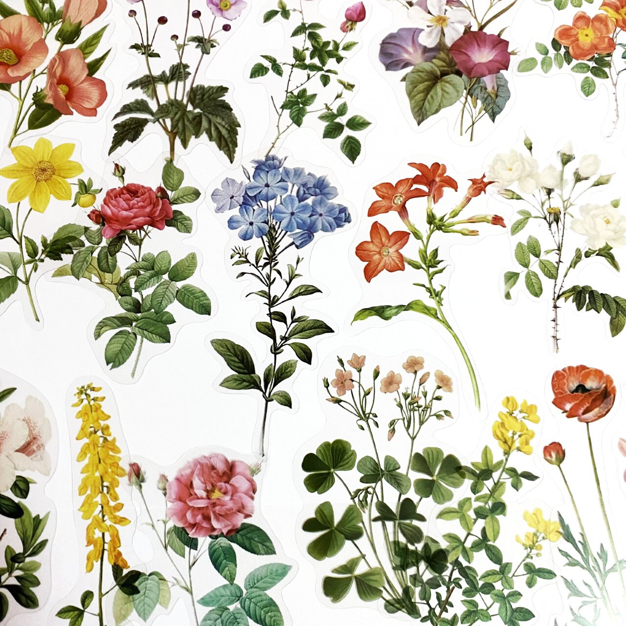 40 Pcs Flowers Clear Sticker Leaves Clear Sticker Stickers - Etsy