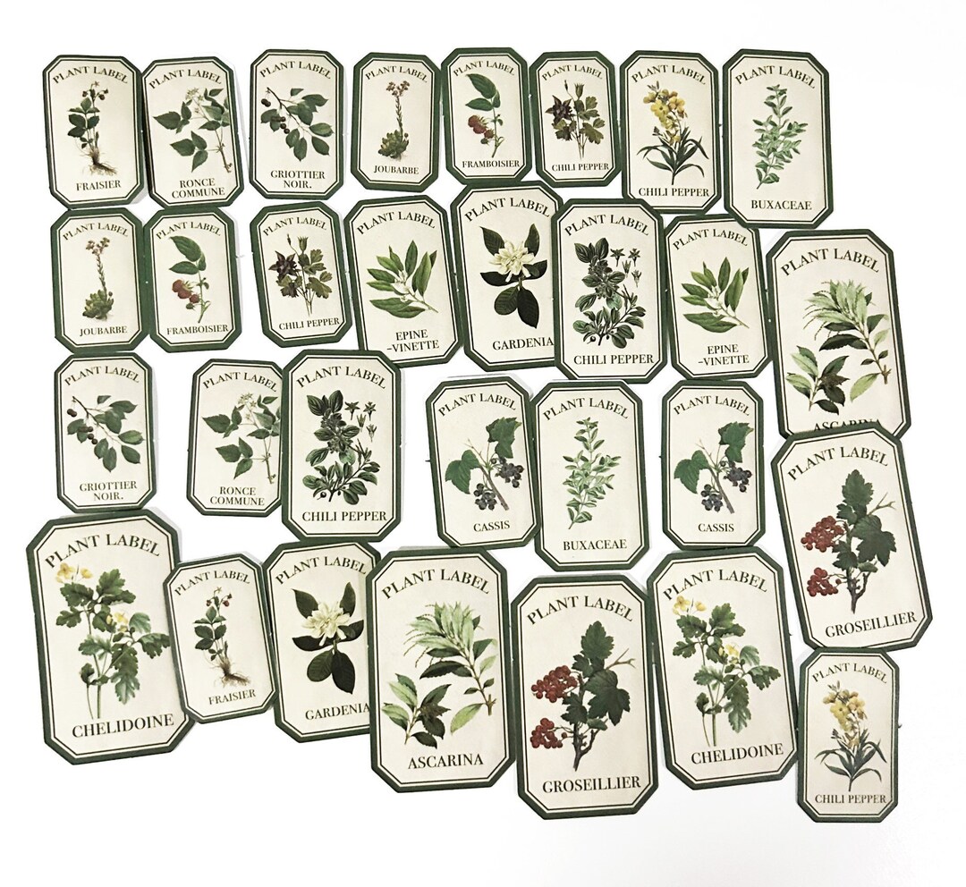 30 Pcs Plant Labels Sticker, Junk Journal Kit, Scrap Book, Journal ...