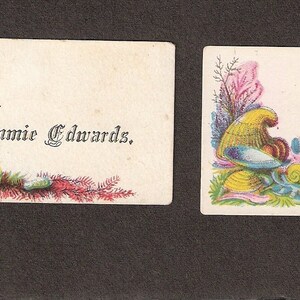 Estate Find of Eight Victorian Calling Cards, Sheet of Beautiful ...