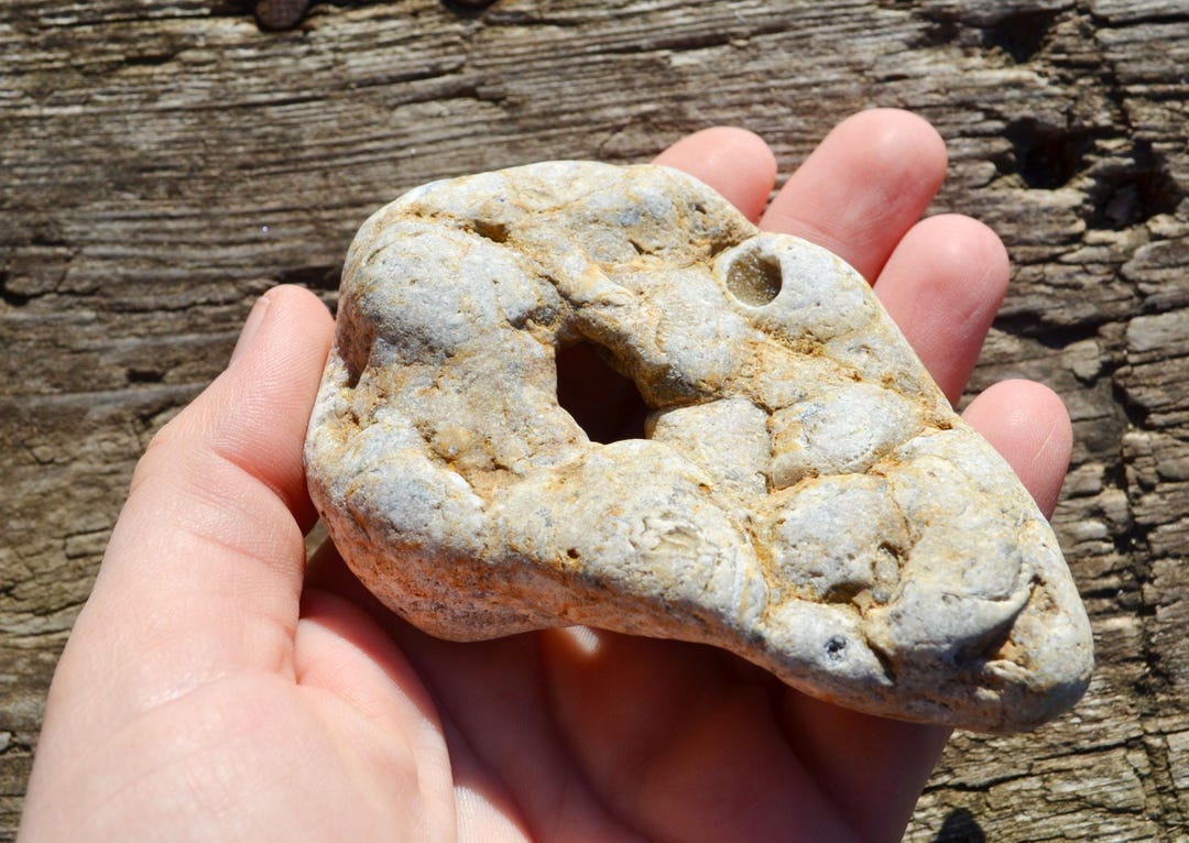 Genuine Hag Stone: Medium Holey Pebble, Wiccan Decor - Etsy