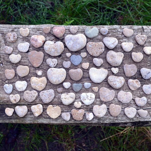 Natural Found Heart Shaped Rocks - Etsy